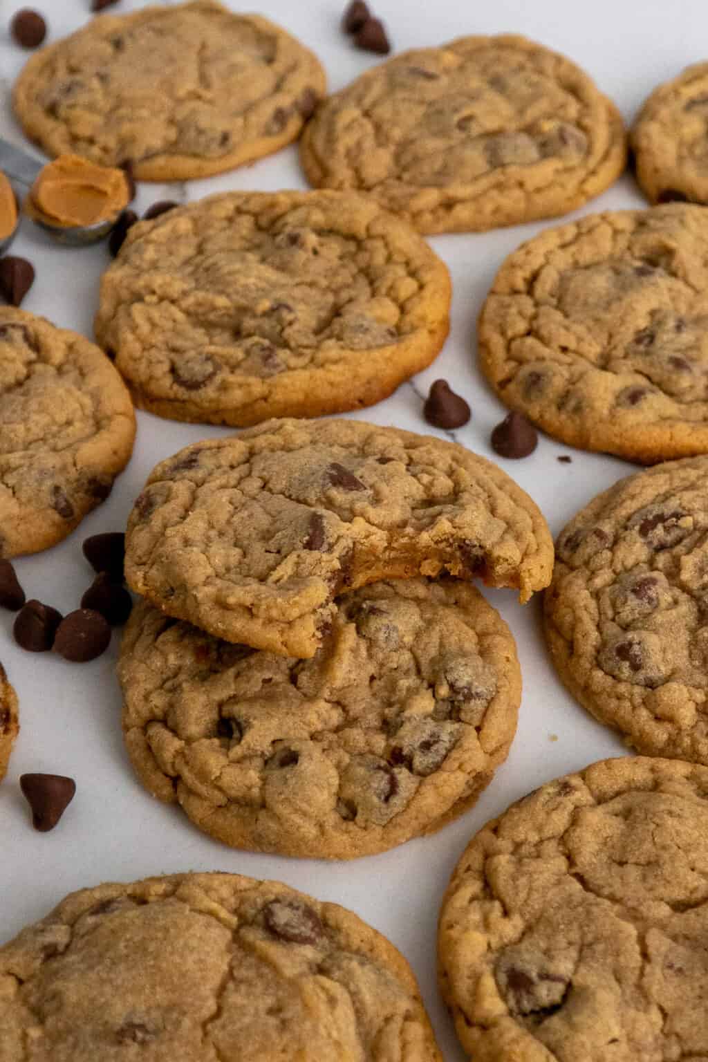Peanut Butter Chocolate Chip Cookies - The Cooking Duo