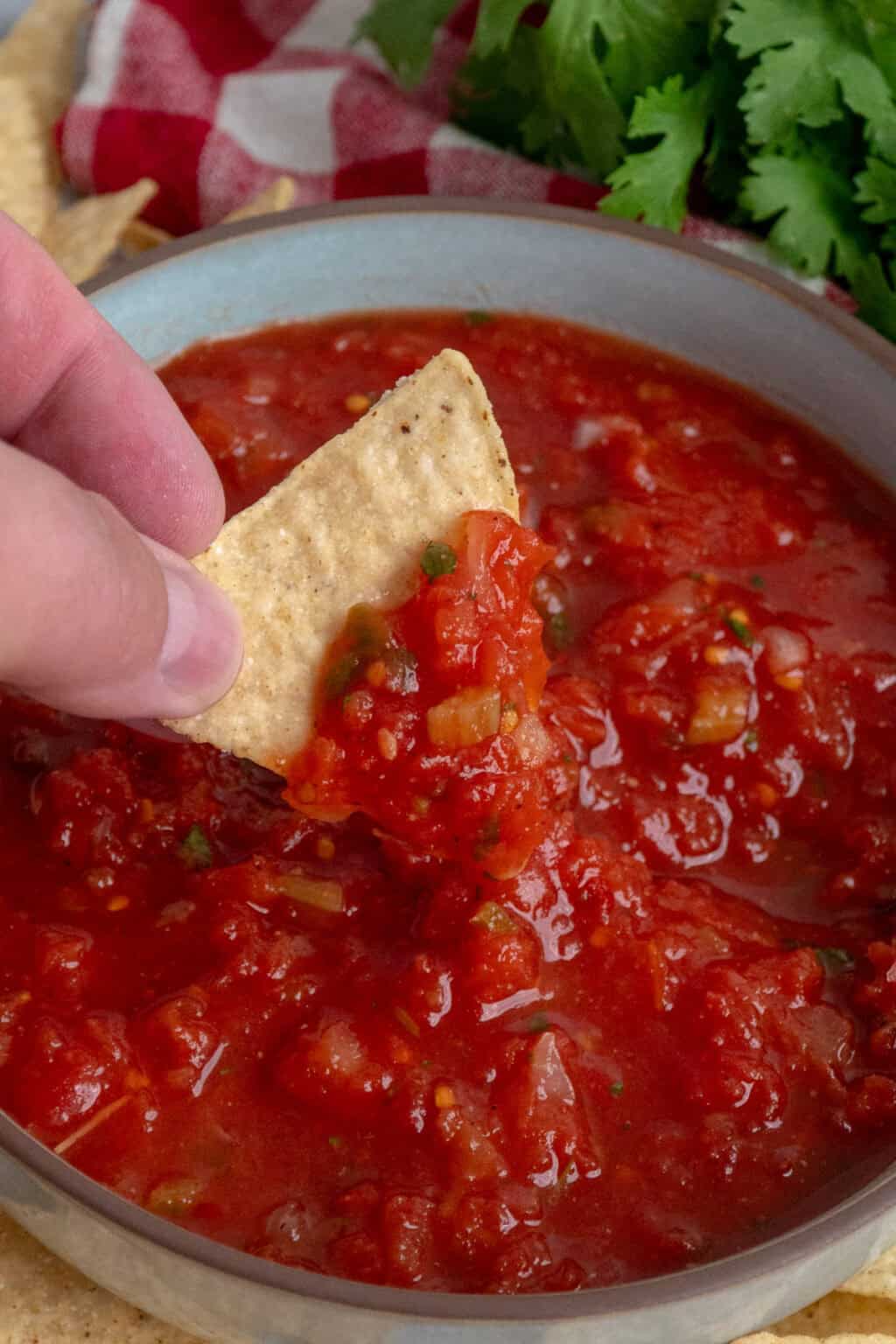 Restaurant Style Salsa - The Cooking Duo