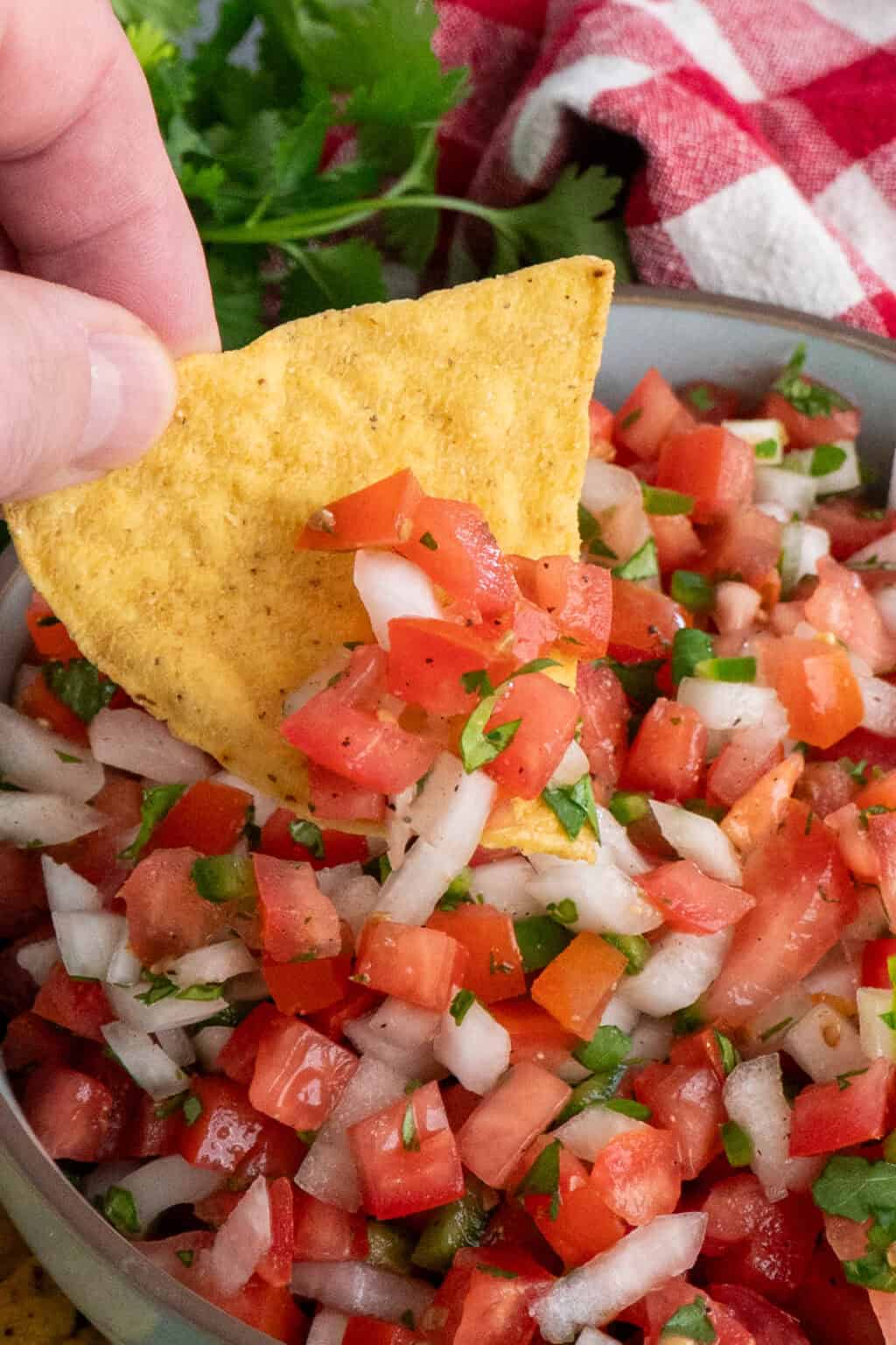Authentic Pico de Gallo Recipe - The Cooking Duo