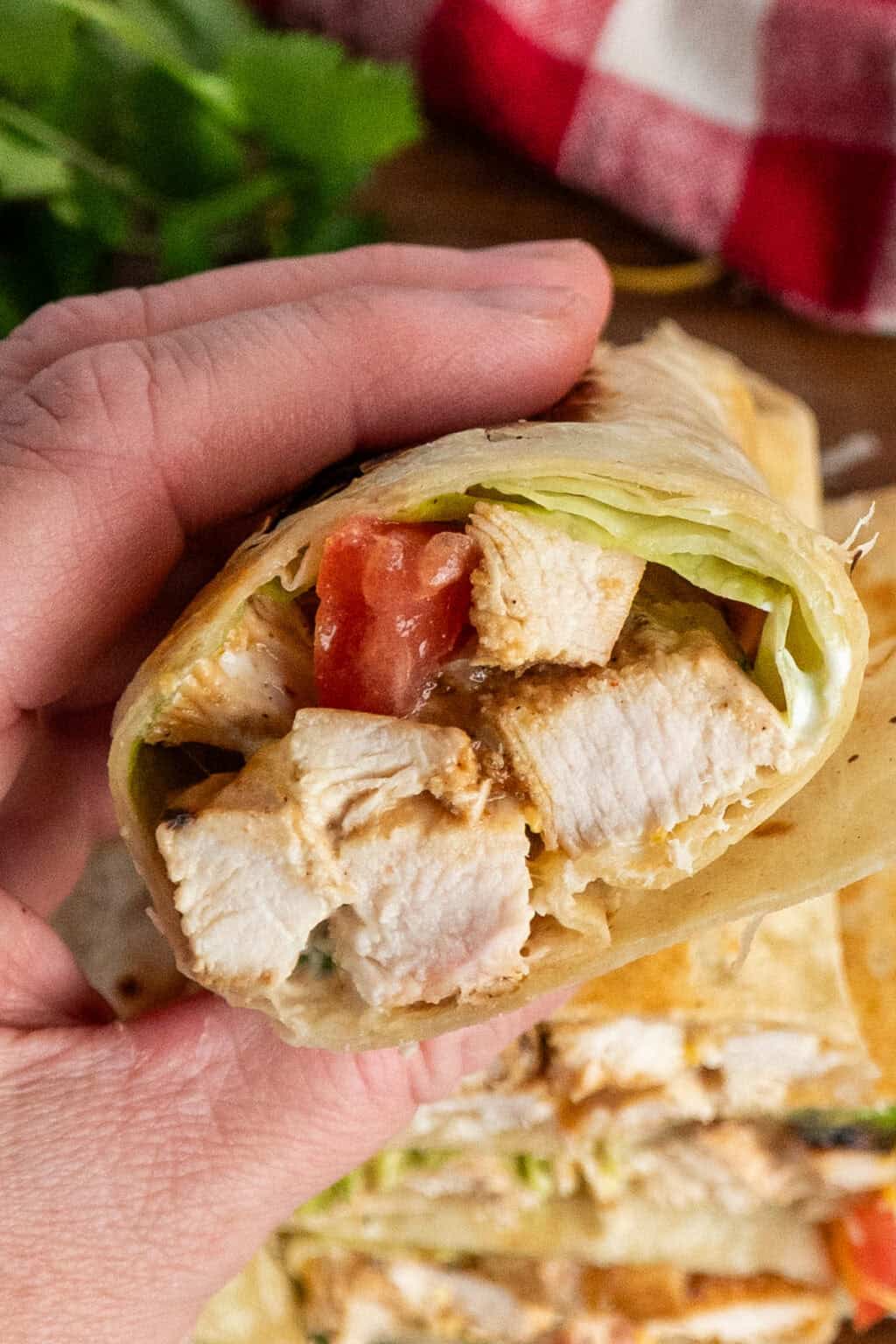 Grilled Chicken Wrap - The Cooking Duo