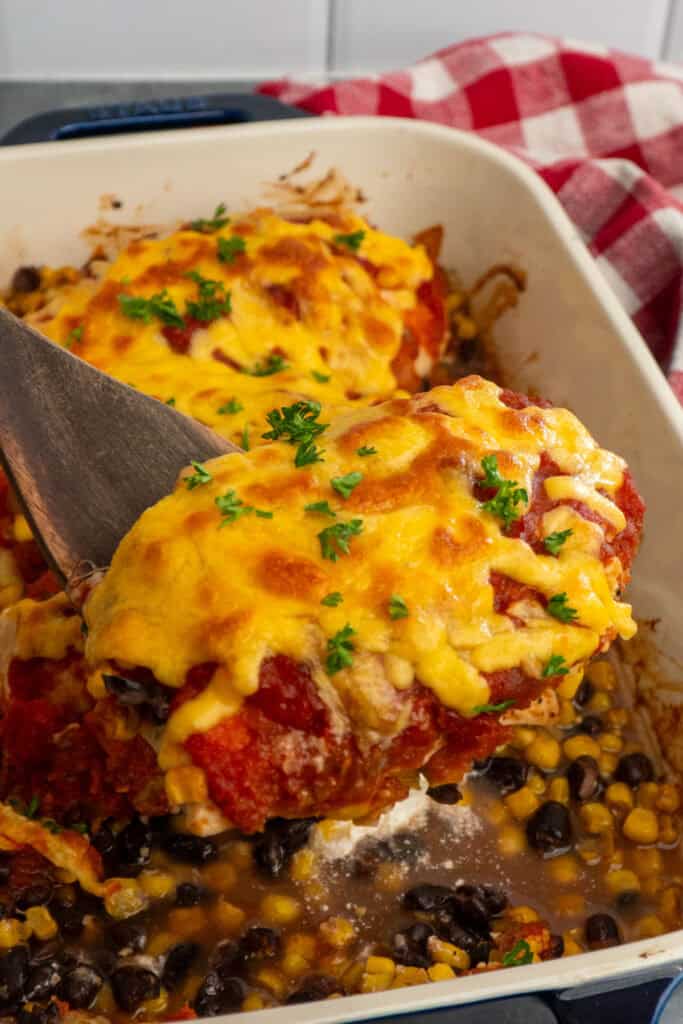 Salsa Chicken - The Cooking Duo